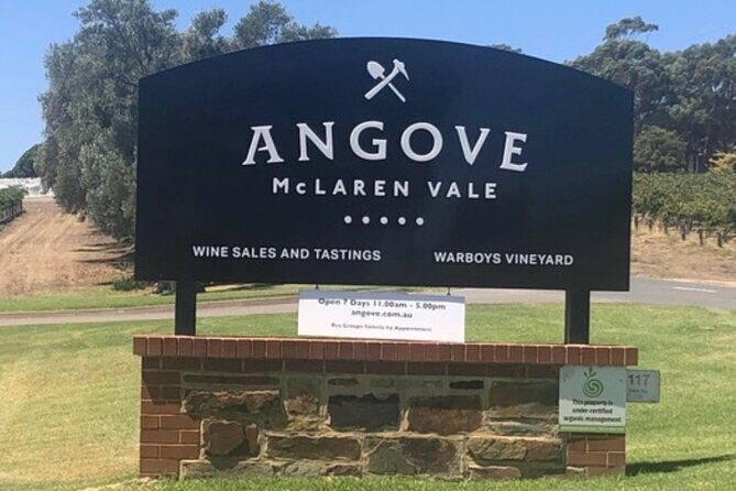 Private Group Wine Tasting in McLaren Vale - Who Is This Tour Best For?