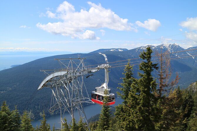 Private Grouse Mountain and Capilano Park Tour in Vancouver - Exploring the Tour in Detail
