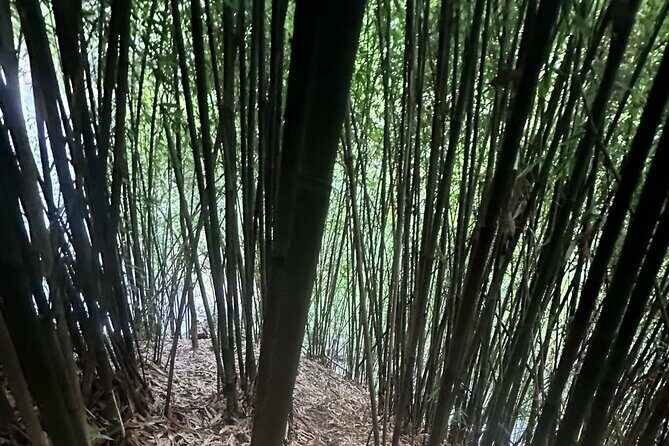 Private Guided Adventure in Nadi with Pick-up - Key Points