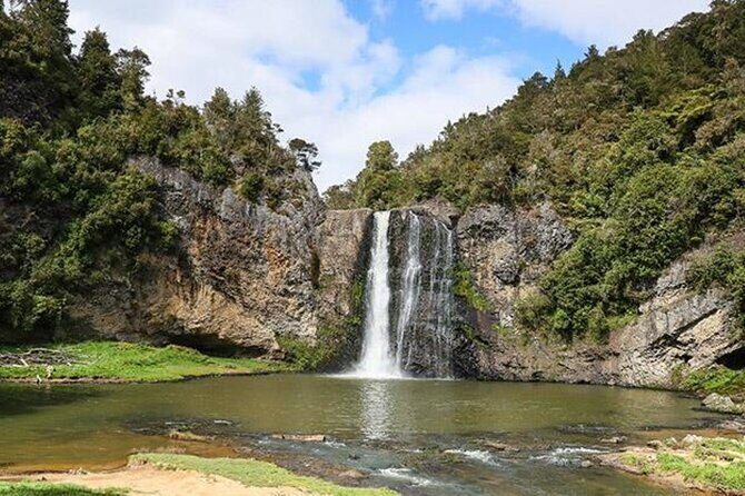 Private Guided Auckland Waterfalls Tour - Key Points