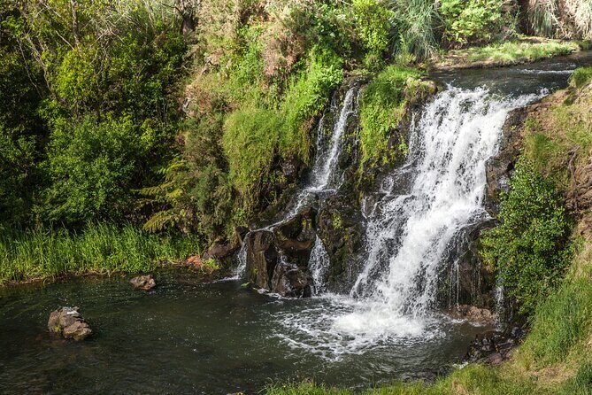 Private Guided Auckland Waterfalls Tour - Analyzing the Cost and Value