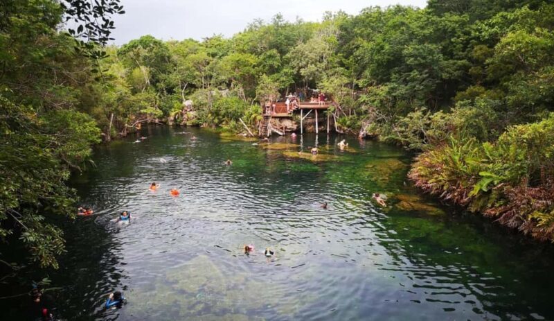 Private Guided Cave & Open Cenote Swim with Lunch - Exploring the Natural Marvels of Riviera Maya