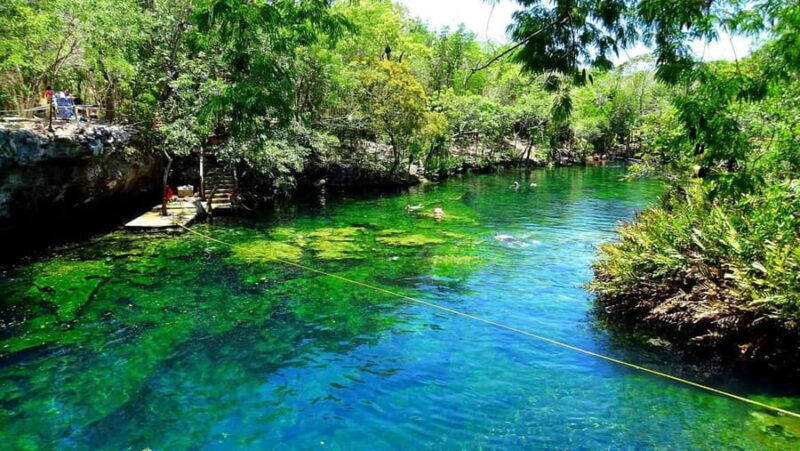 Private Guided Cave & Open Cenote Swim with Lunch - The Sum Up