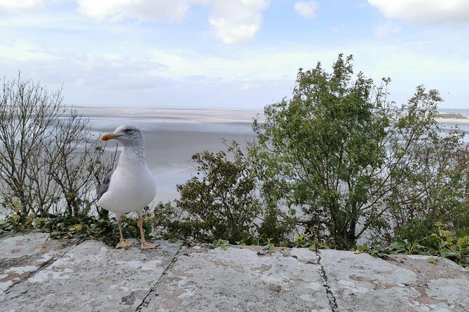Private Guided Day Tour of Mont St-Michel from Paris - FAQ