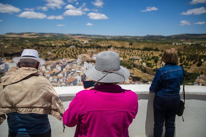 Private Guided Day Trip to the White Villages and Ronda from Seville - Key Points