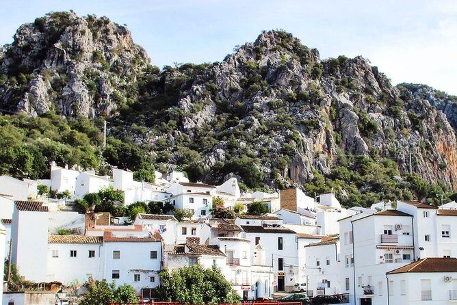 Private Guided Day Trip to the White Villages and Ronda from Seville - Authentic Experiences and Insider Tips