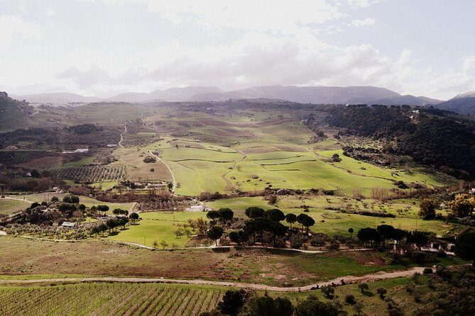 Private Guided Day Trip to the White Villages and Ronda from Seville - FAQs