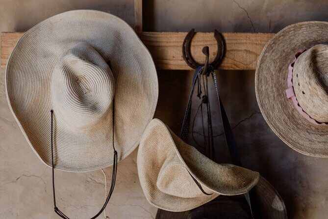 Private Guided Equine Meditation in Baja California - What Travelers Can Expect