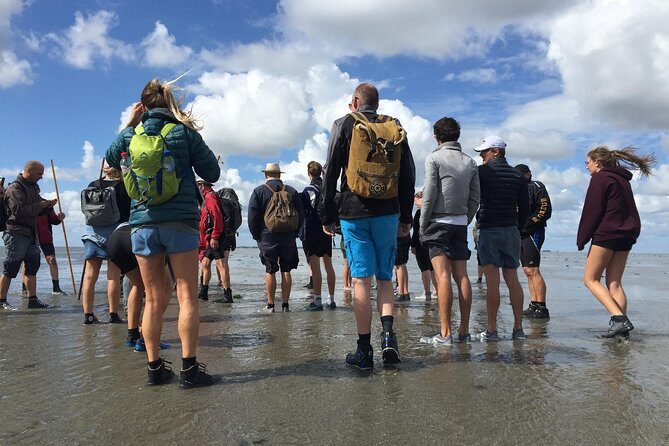 Private Guided Full-Day Customizable Tour of Holland from Amsterdam - What Makes This Tour Stand Out?