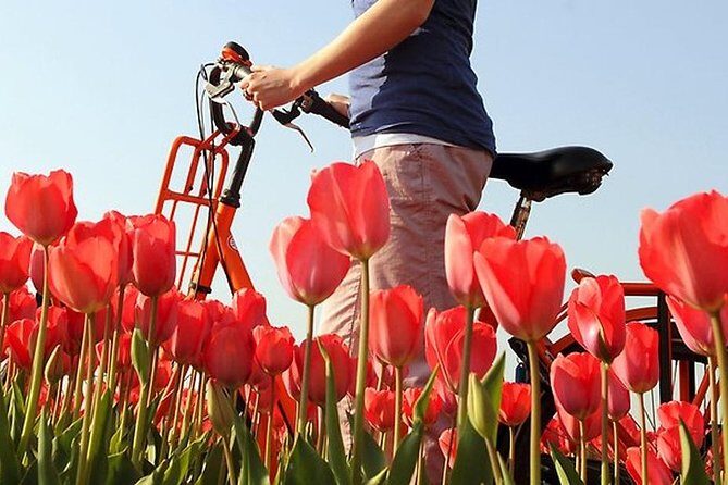 Private Guided Full-Day Customizable Tour of Holland from Amsterdam - Final Thoughts