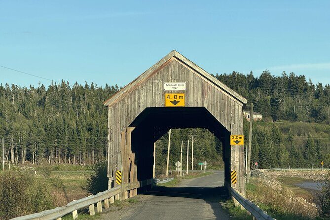 Private Guided Fundy Tour in Saint John - Key Points
