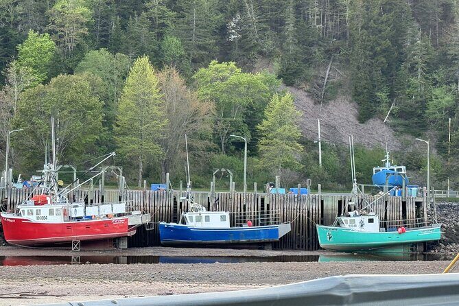 Private Guided Fundy Tour in Saint John - What Travelers Say About This Experience