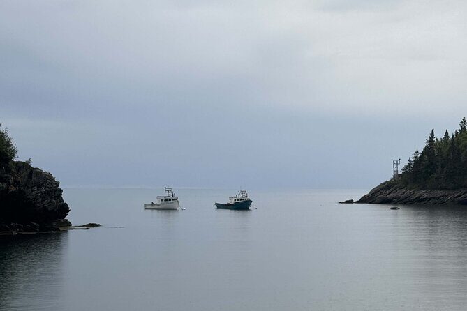 Private Guided Fundy Tour in Saint John - Who Will Love This Tour?