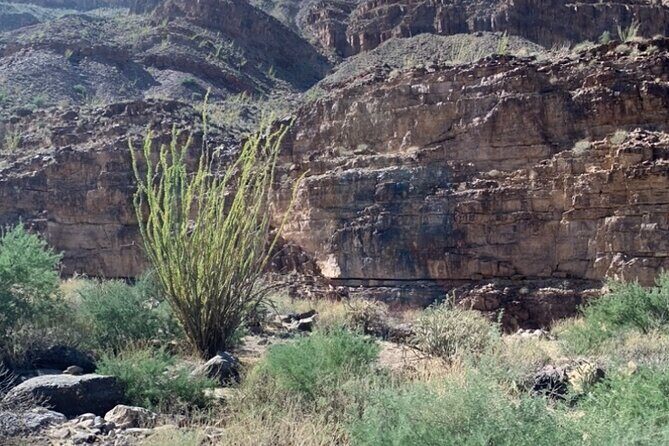 Private Guided Grand Canyon Tour in Arizona - Authentic Traveler Insights