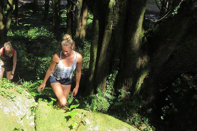 Private Guided Hike in Sintra-Cascais National Park, Lisbon - Who Is This Tour Best Suited For?