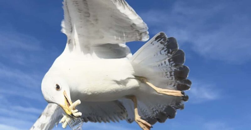 Private Guided Istanbul Luxury Tour (Tickets and Transfers) - Key Points