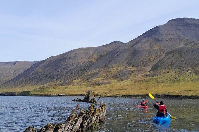 Private: Guided kayak tour in Siglufjörður / Siglufjordur. - Introduction to the Siglufjörður Kayak Experience