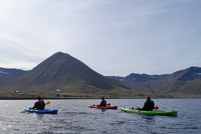 Private: Guided kayak tour in Siglufjörður / Siglufjordur. - FAQ