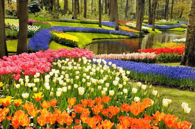 Private Guided Keukenhof Gardens and Zaanse Schans Tour - A Deep Dive into the Itinerary