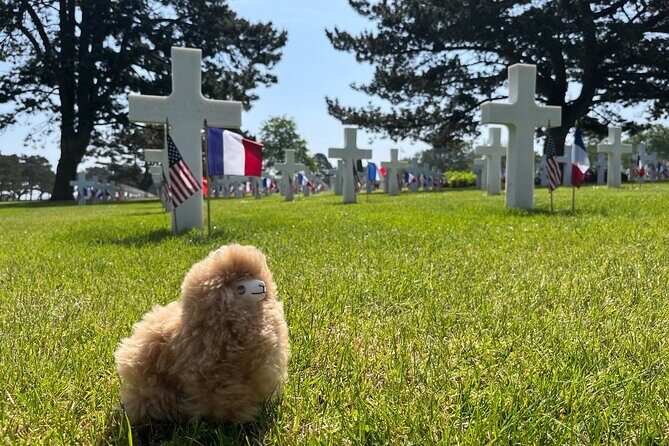 Private Guided Mont Saint Michel & D-day tour from Paris - What Travelers Are Saying