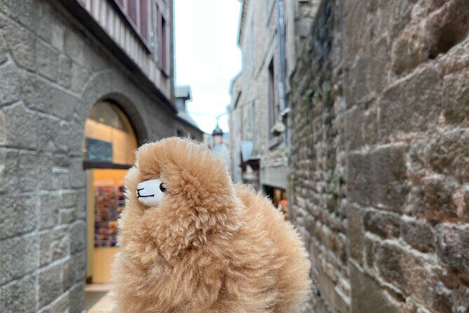 Private Guided Mont Saint Michel & D-day tour from Paris - The Practical Side: Transportation, Costs, and Flexibility