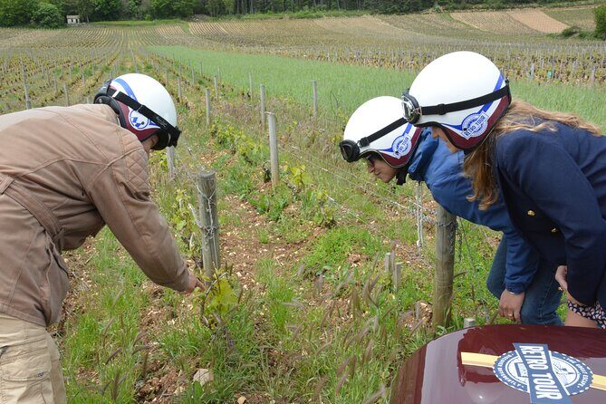 Private Guided Sidecar Tour in Burgundy from Meursault - FAQ  