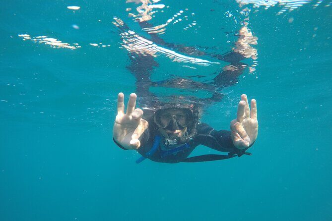 Private Guided Snorkeling in Cabo San Lucas - Who Should Book This Tour?