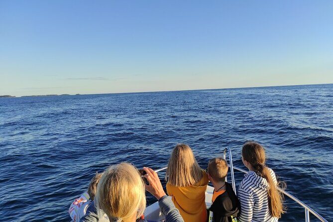 Private Guided Sunset Dolphin Watching in Adriatic Sea - The Experience at a Glance: What to Expect