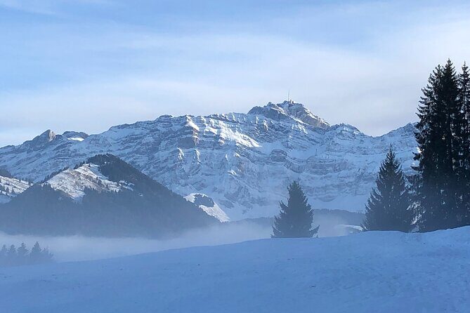 Private Guided Swiss Alps Day Trip from Zurich with Hotel Pick-Up - FAQ