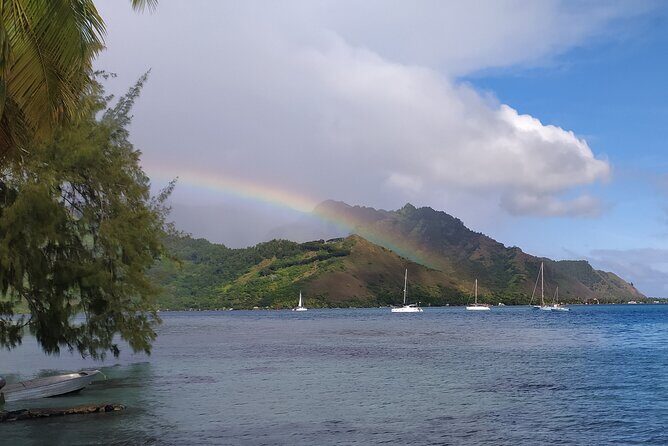 Private Guided Tour around the Moorea Island - Practical Details and Tips