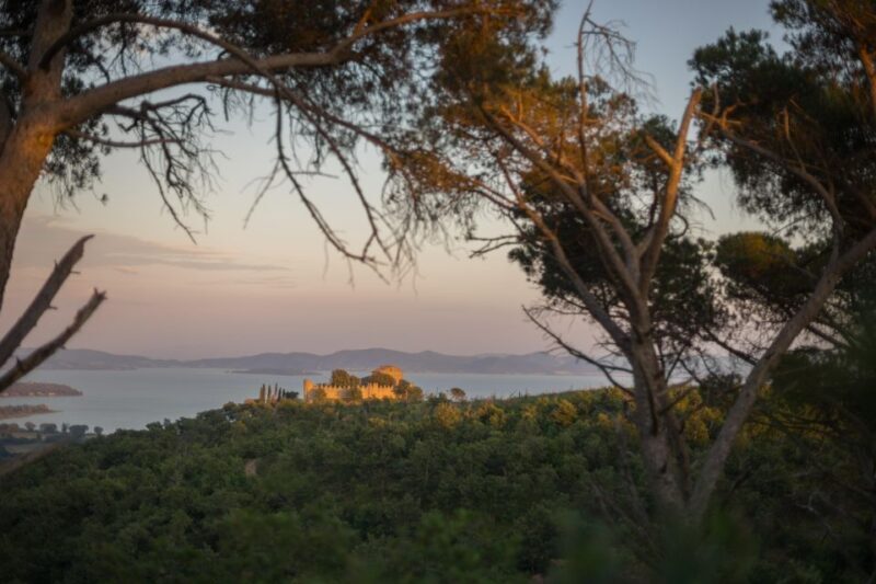 Private Guided Tour: Discover Lake Trasimeno on E-Bike - Key Points