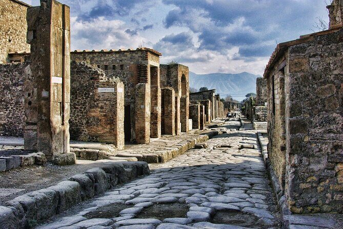 Private Guided Tour from Rome to Pompeii - The Role of the Driver and Transport