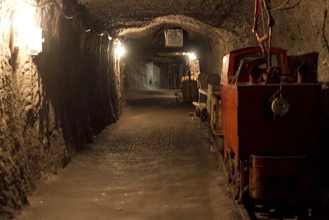 Private guided tour from Vienna to Hallstatt with Skywalk & Salt Mine Experience - Who Would Love This Experience?