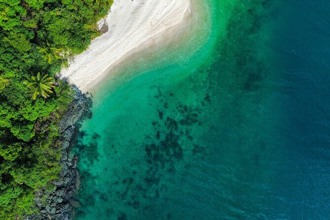 Private Guided Tour in Port Douglas and Surrounds - The Sum Up