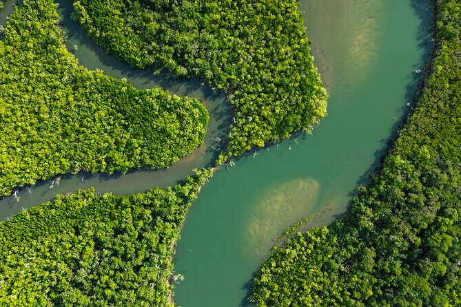 Private Guided Tour in Port Douglas and Surrounds - FAQ