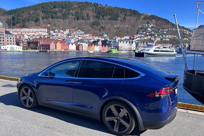 Private Guided Tour of Bergen and the Best of Norwegian Fjords - FAQs