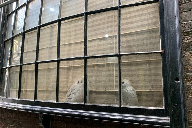 Private Guided Tour of Harry Potter Locations - English/ Italian - Frequently Asked Questions