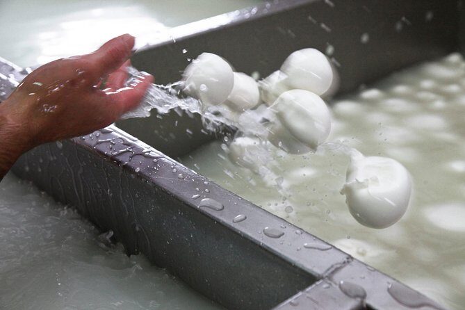 Private guided tour of Paestum and Buffalo Mozzarella farm lunch - FAQs