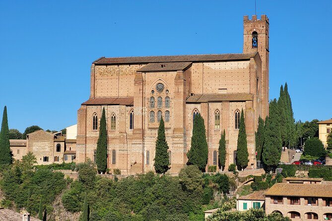 Private Guided Tour of Siena with a Licensed Local Tour Guide - Tour Logistics & Practical Details
