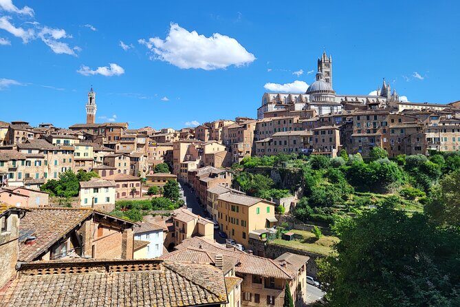 Private Guided Tour of Siena with a Licensed Local Tour Guide - The Sum Up
