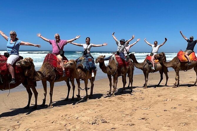 Private Guided Tour of Tangier from Marbella - Who Is This Tour Best For?