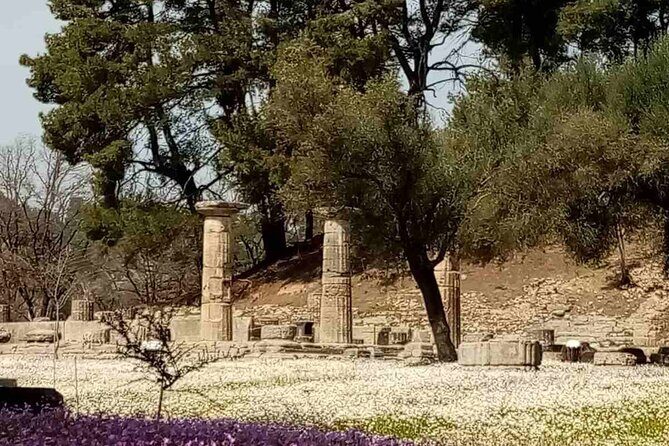 Private Guided Tour of the Archaeological Site and Museum of Olympia - What Makes This Tour Stand Out?