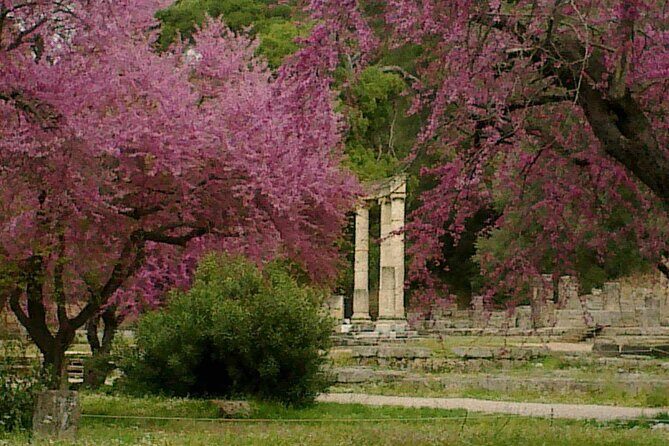 Private Guided Tour of the Archaeological Site and Museum of Olympia - Why Choose This Tour?
