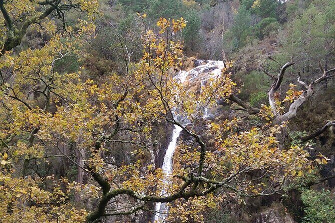 Private Guided Tour - Peneda Gerês National Park - Who Should Consider This Tour?