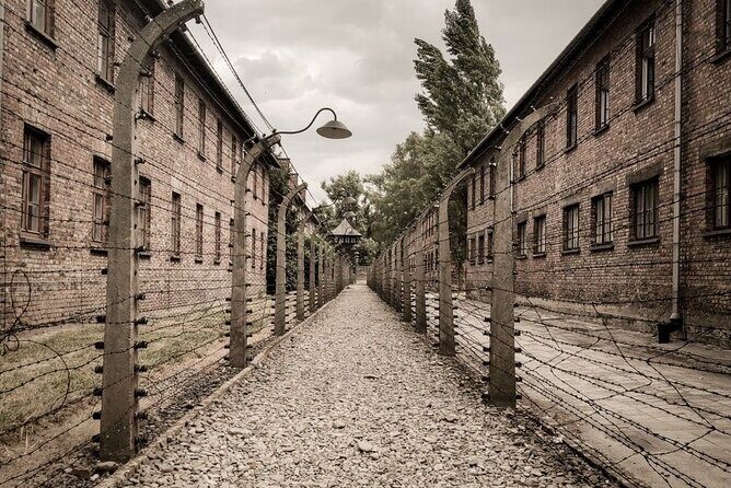 Private Guided Tour to Auschwitz & Birkenau from Krakow - The Sum Up: Who Will Love This Tour?