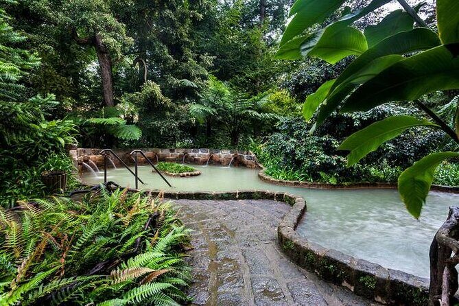 Private Guided Tour to Furnas and thermal baths. - What Makes This Tour Stand Out?