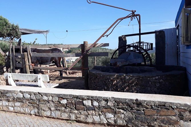 Private-Guided Tuk Tuk Country Side Tour - The Sum Up