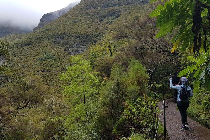 Private Guided Walk Levada 25 Fontes - Who This Tour Is Perfect For