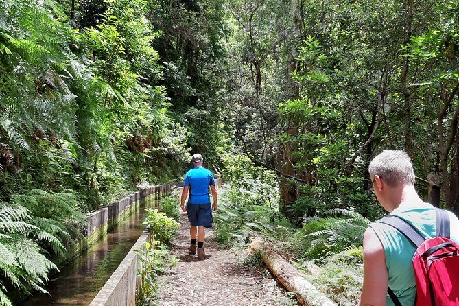 Private Guided Walk Levada Faja dos Rodrigues half-day - Key Points