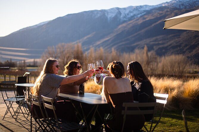 Private Guided Wine Tour Ex Queenstown - Key Points